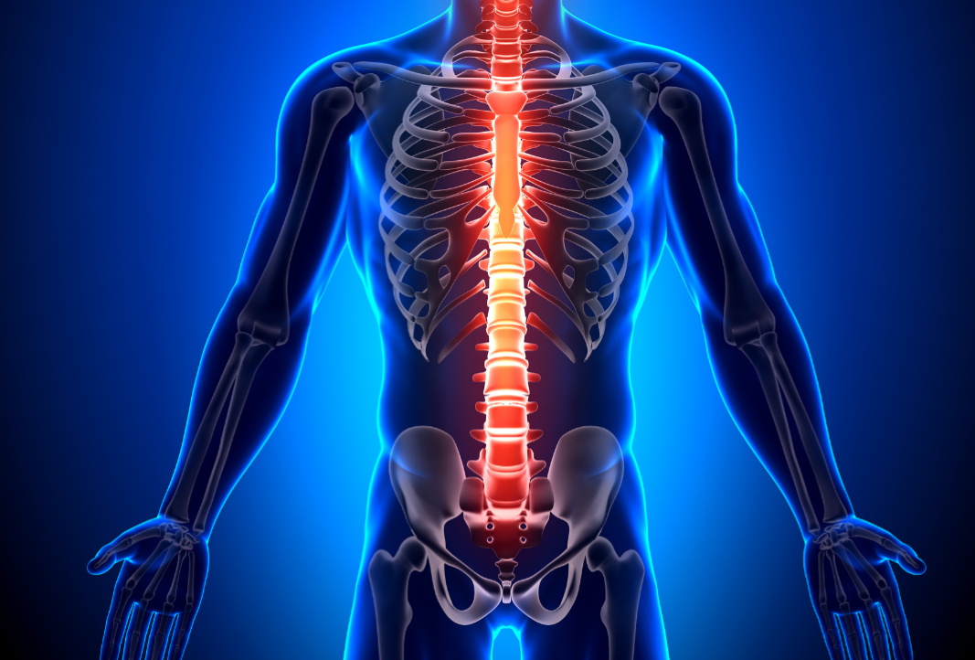 Bone Research and Education Centre – To deliver state of the art ...